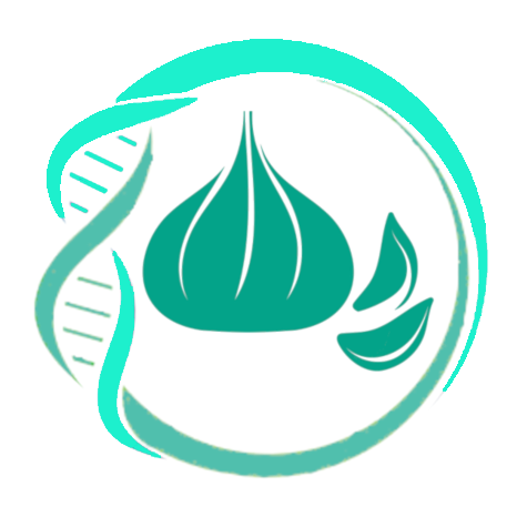 Bugdev - Software and Digital Agency