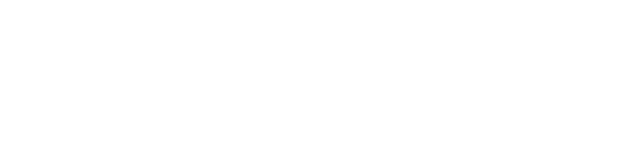 Bugdev - Software and Digital Agency