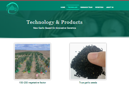 Bugdev - Software and Digital Agency