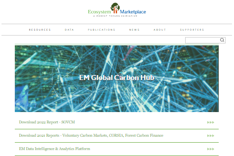 Bugdev - Software and Digital Agency