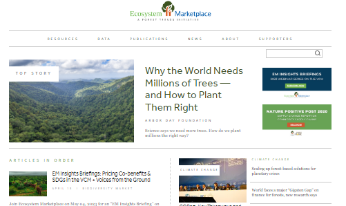 Bugdev - Software and Digital Agency